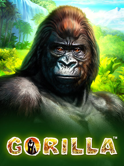 Novomatic Games - Play with Bitcoin or Real Money - BitStarz